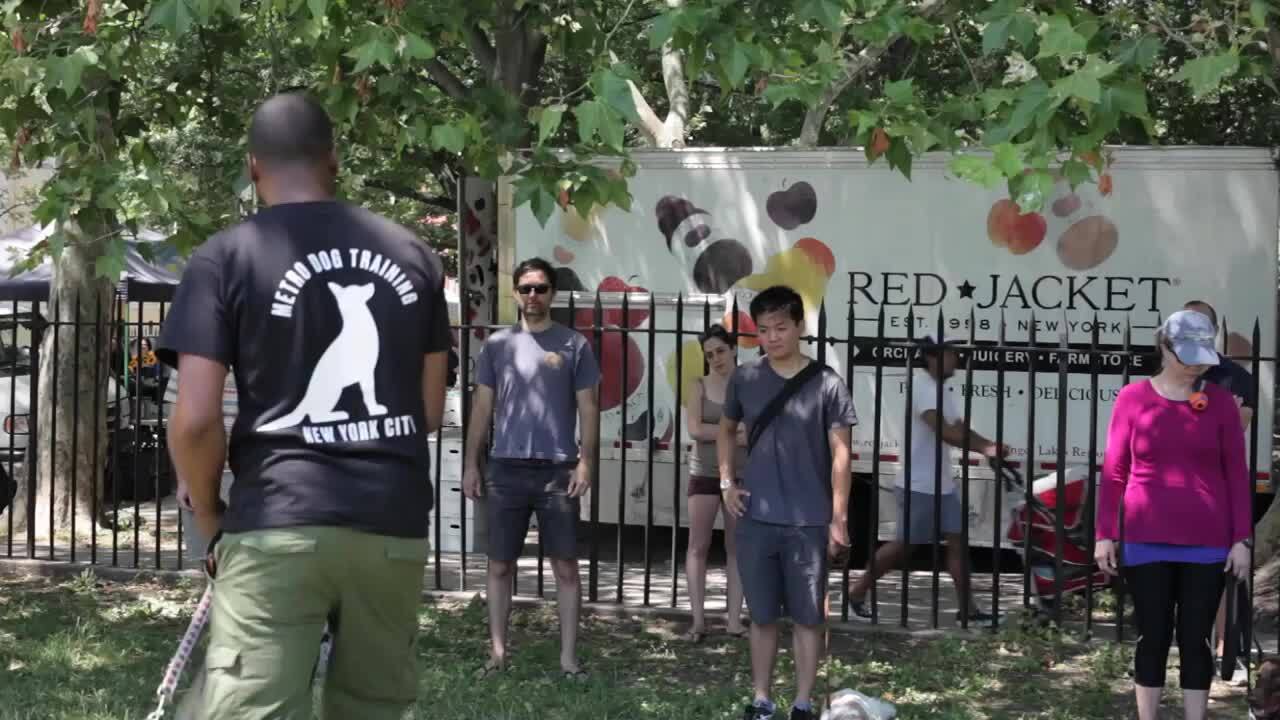 METRO DOG TRAINING - 48 Photos & 44 Reviews - Brookyln, New York - Pet ...