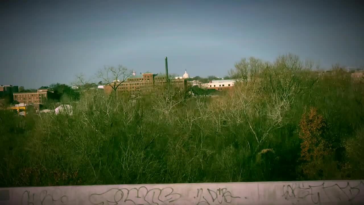 Selective Hauling - Updated COVID-19 Hours & Services - 108 Photos ...