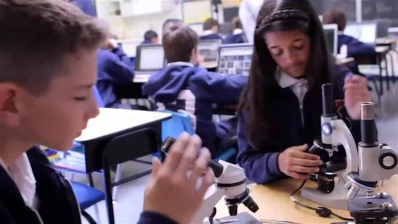 KIDS CONNECTION SCHOOL - Updated October 2025 - 34 Photos & 48 Reviews ...