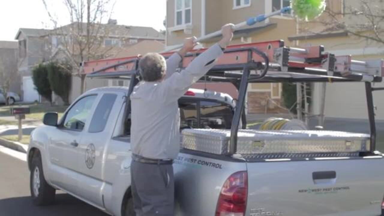 NEW WEST PEST CONTROL - 68 Reviews - 1740 Santa Rosa Ave, Santa Rosa ...