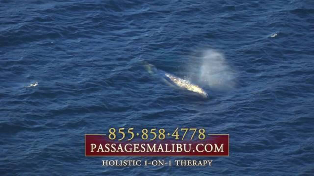 PASSAGES MALIBU - 302 Photos & 58 Reviews - 6428 Meadows Ct, Malibu ...