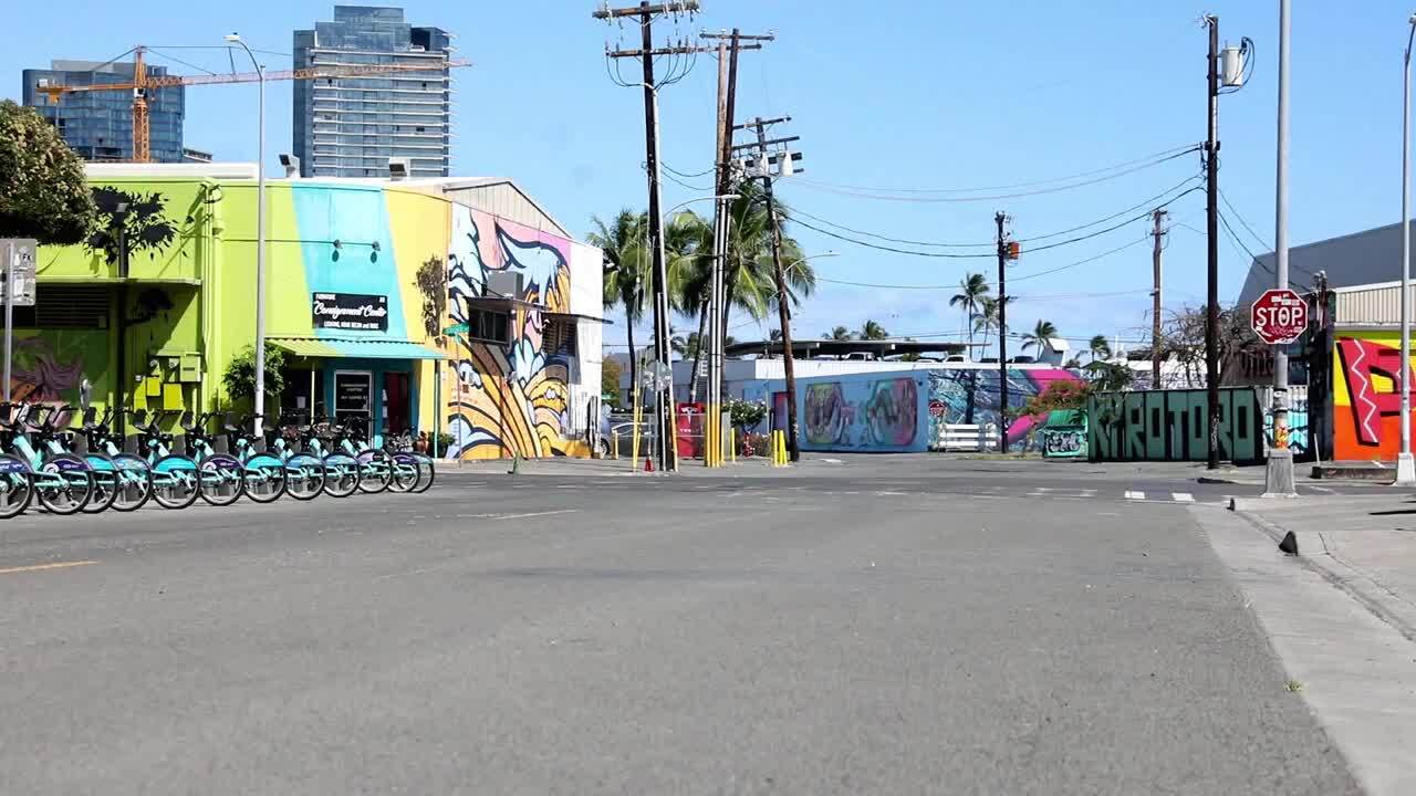 HONOLULU VOLKSWAGEN - Updated August 2024 - 184 Photos & 376 Reviews ...