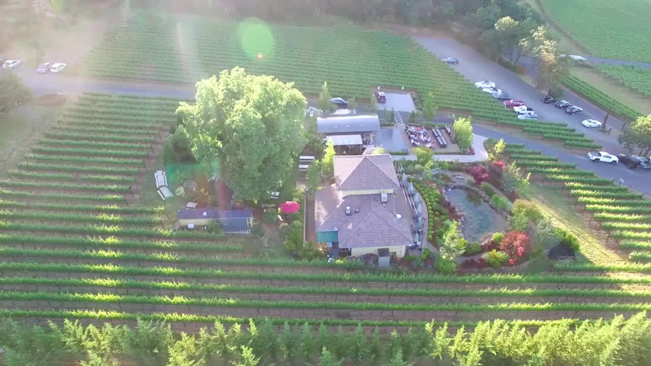 DANCIN VINEYARDS - Updated August 2024 - 390 Photos & 174 Reviews ...