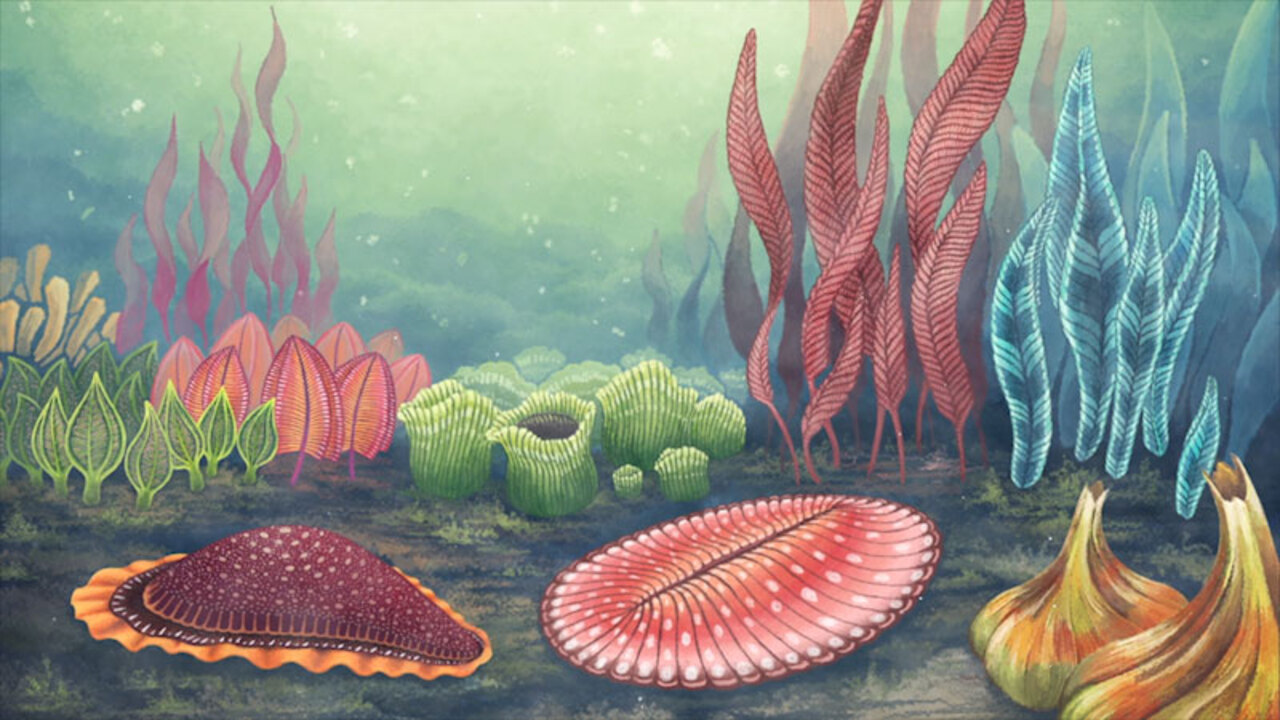 Early Earth Creatures Power Behind Primordial Soup Discovered