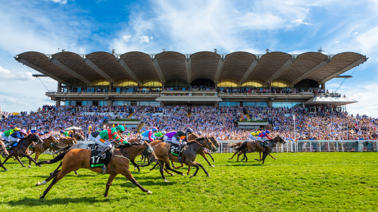 Goodwood | Event Hospitality