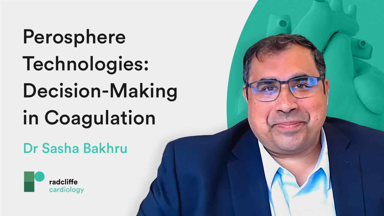 Sasha H. Bakhru (Perosphere Technologies)