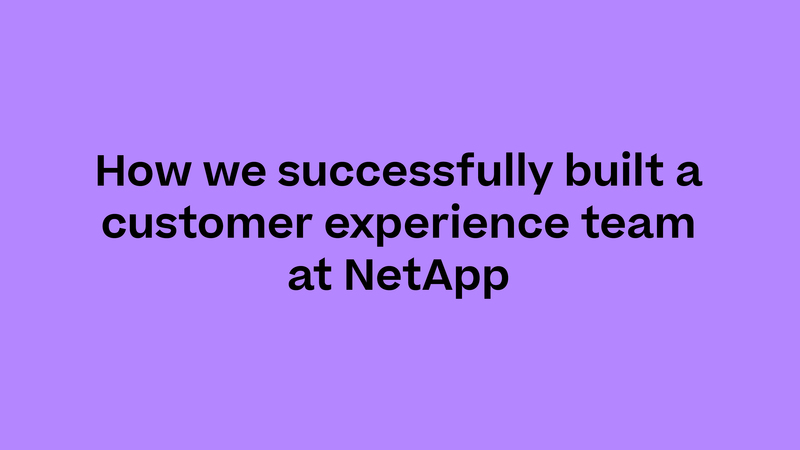 How we successfully built a customer experience team at NetApp