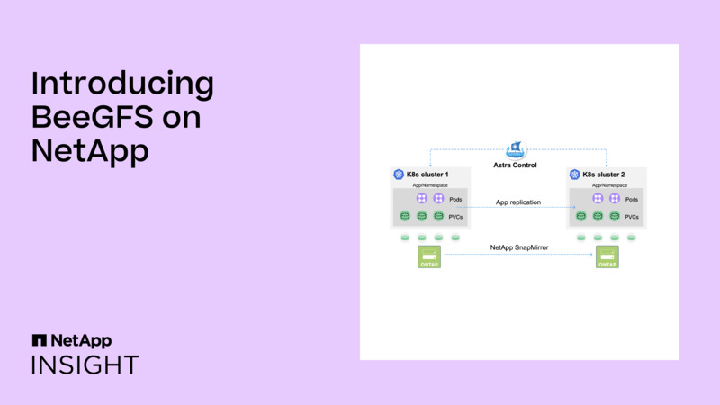 Introducing BeeGFS on NetApp [1845]