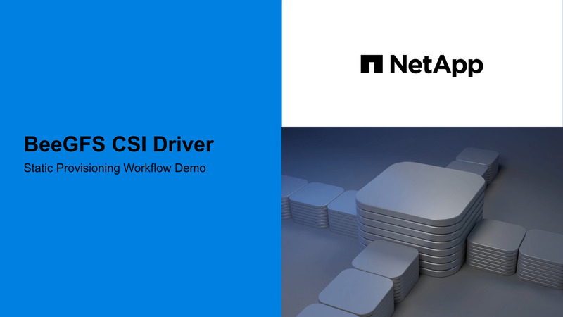 Static provisioning workflow with the BeeGFS CSI driver