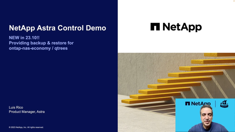 Astra ONTAP-NAS-economy backup