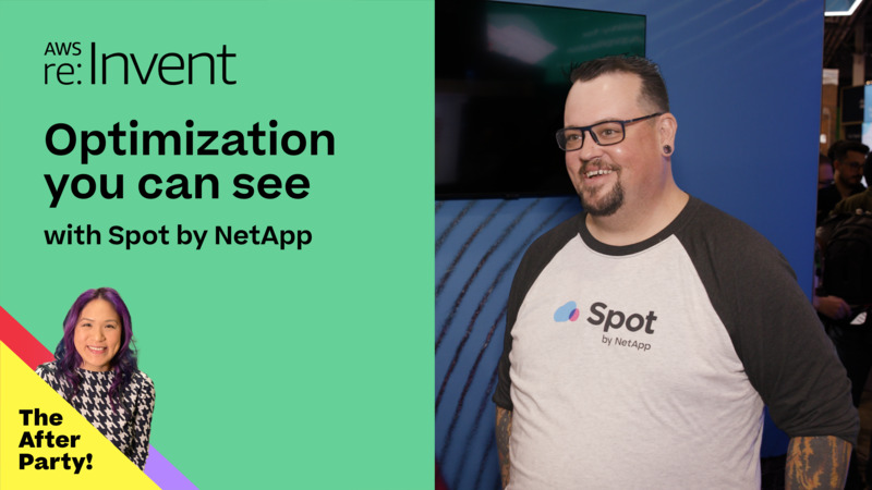 Optimization you can see with Spot by NetApp