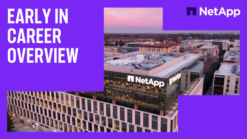 NetApp early in career programs