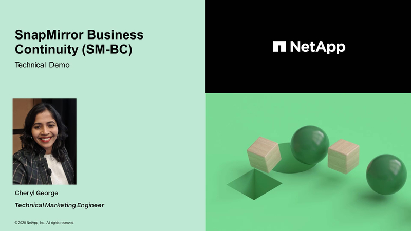 SnapMirror business continuity