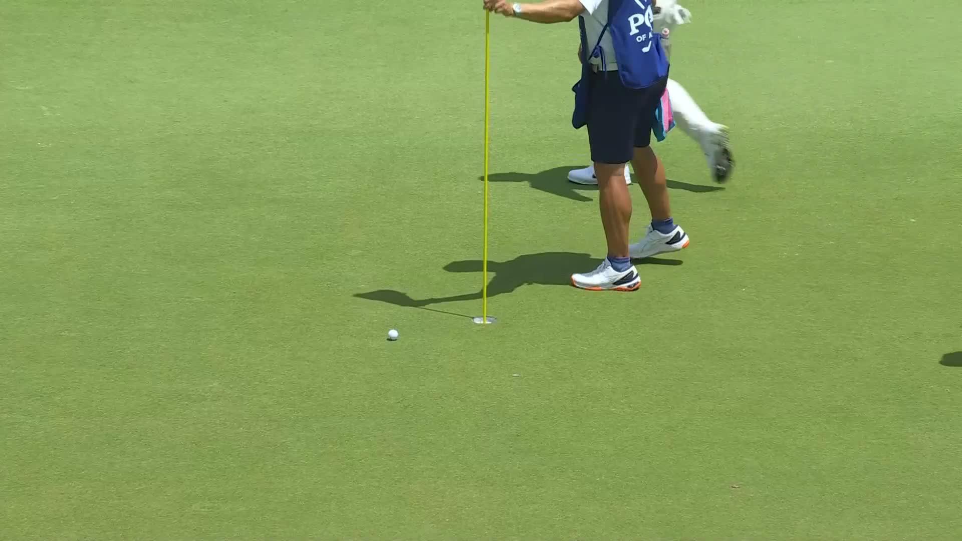 Wyndham Clark 3rd Shot on No. 1 Hole - 2025 PGA Championship Round 1 | PGA Championship