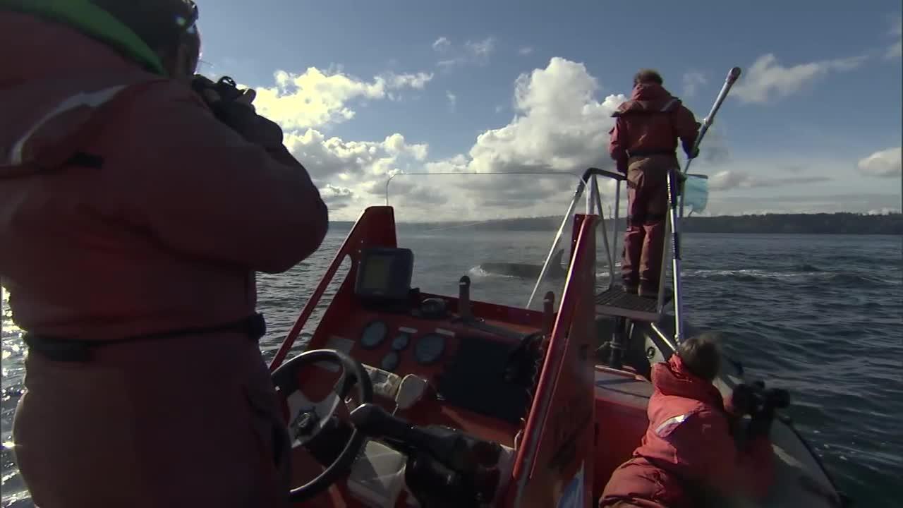 The DriX: A New Uncrewed Surface Vehicle to Support Fisheries Surveys - NOAA Fisheries Video Gallery