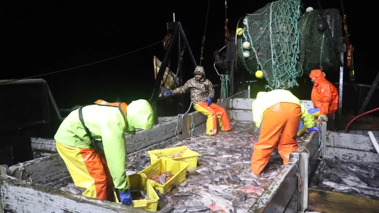TIES THAT BIND: Observing Northeast Fisheries - NOAA Fisheries Video ...