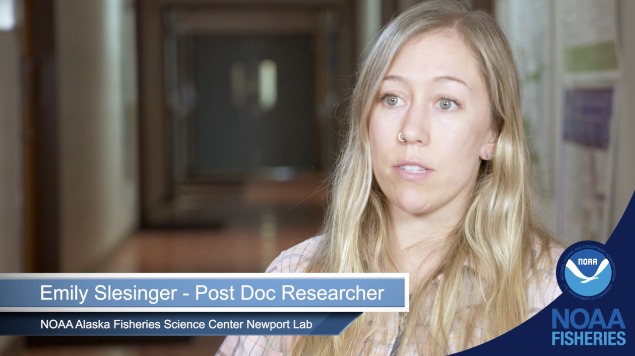 Alaska’s Ecosystem Status Report: A Collaborative Approach - NOAA ...