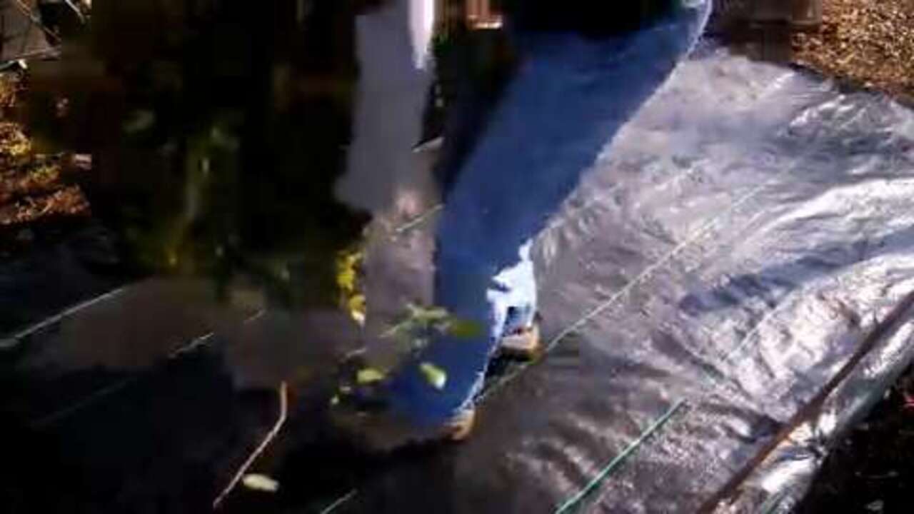 Landmaster 6 ft. x 100 ft. Woven Contractor Ground Cover Weed Barrier ...