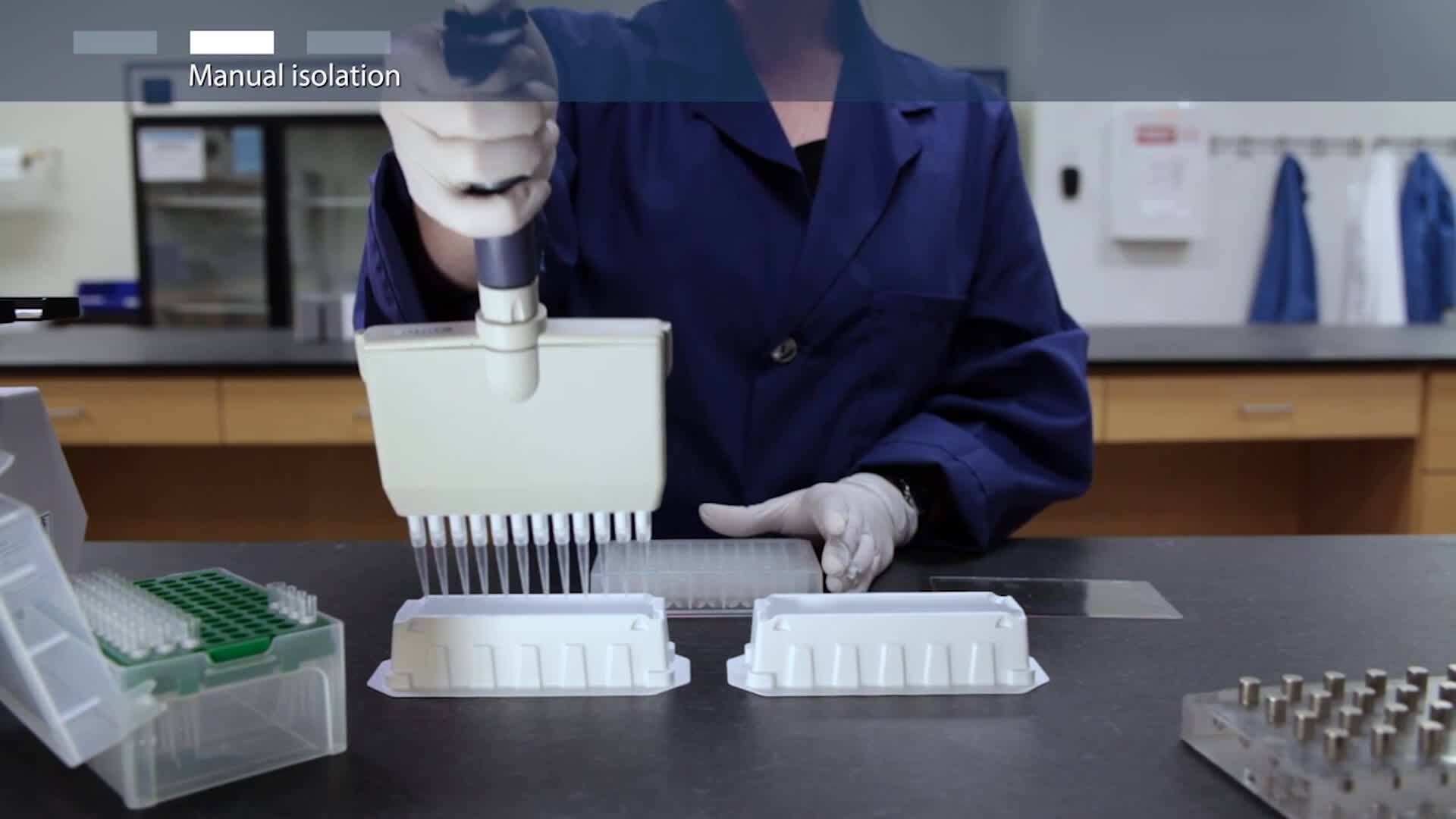 How To Isolate Total Rna Using Magnetic Bead Based Technology