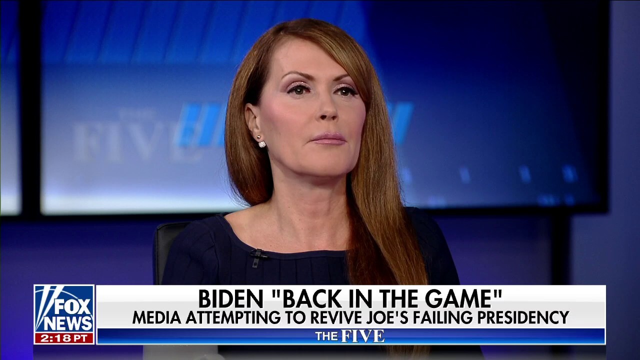 Dagen McDowell What Is Van Jones Talking About Fox News Video