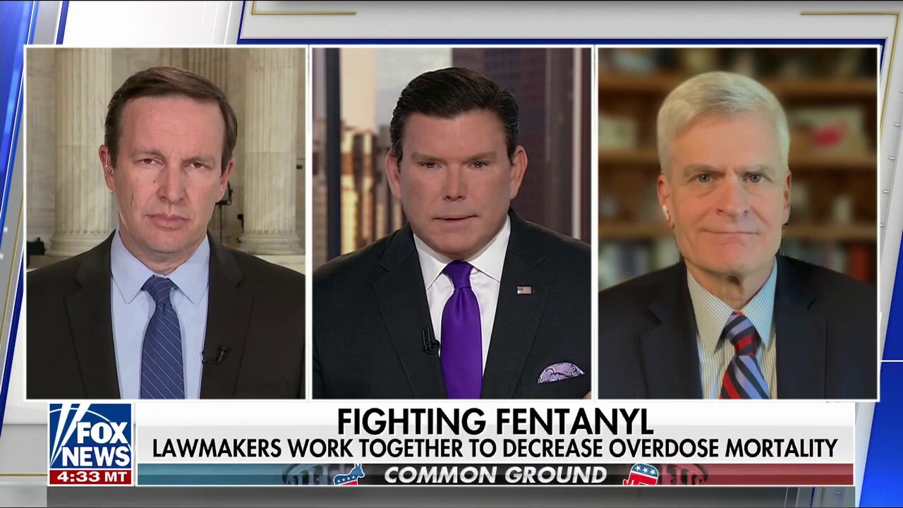 Lawmakers work together to solve fentanyl crisis | Fox News Video