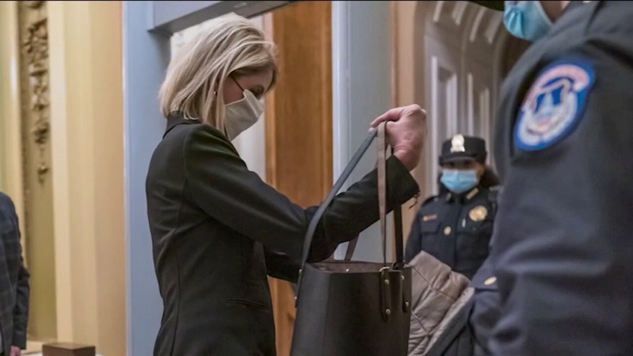 Rep. Davis: Pelosi's new security protocols are 'political correctness ...