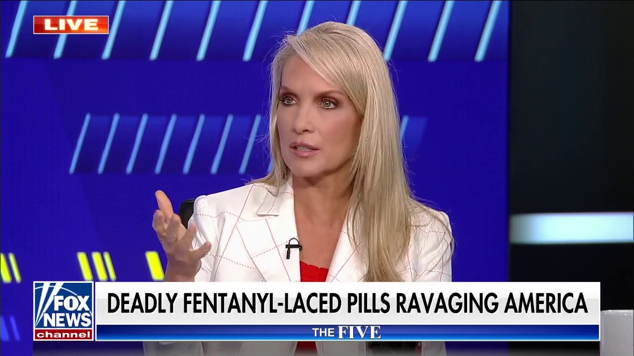 Fentanyl crisis is 'most bipartisan issue you can find': Dana Perino ...