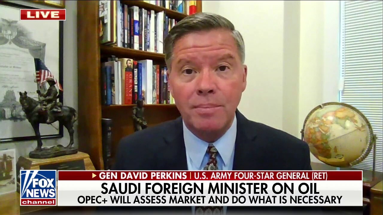 Gen. Perkins: Putin is a declining power globally | Fox News Video