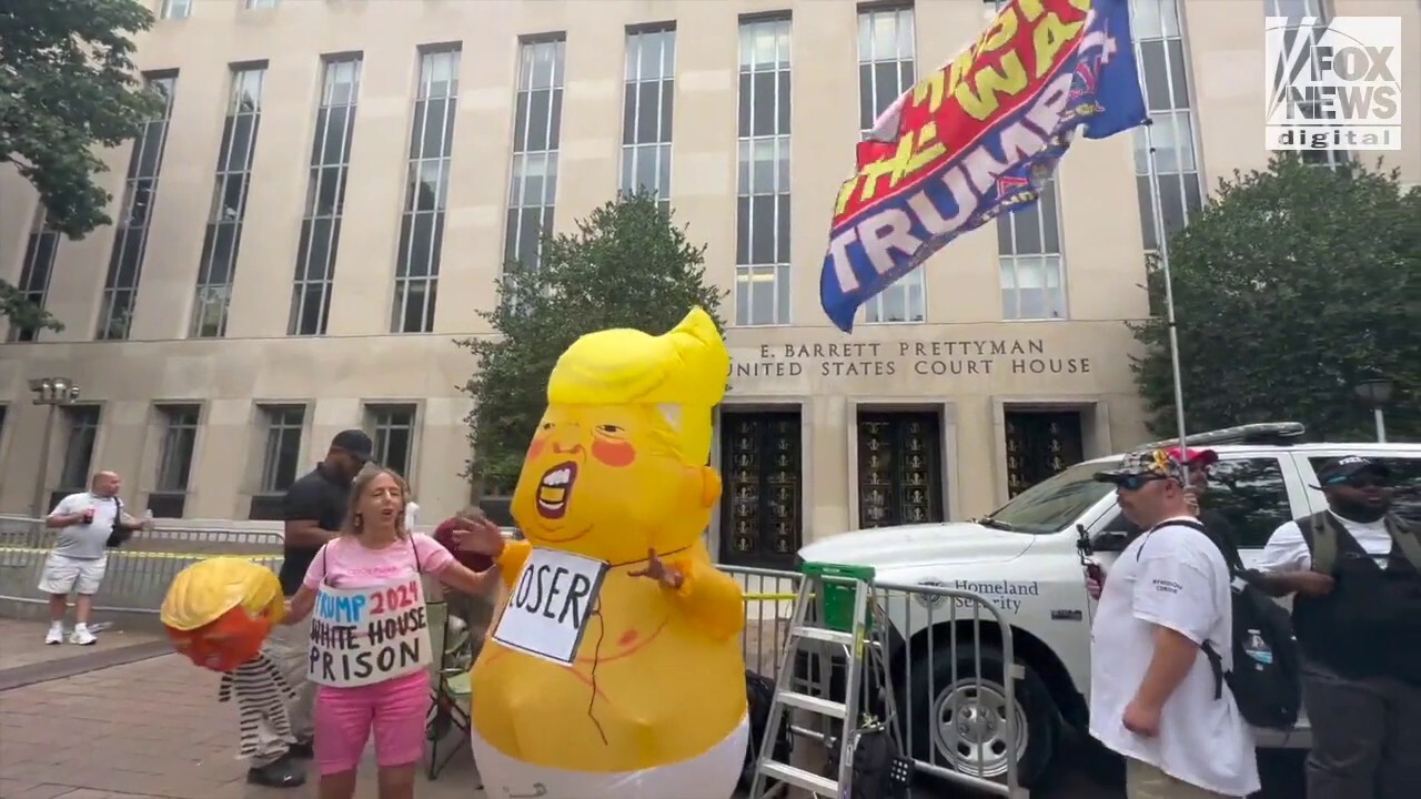 Protesters rally outside of federal court in Washington D.C. ahead of ...