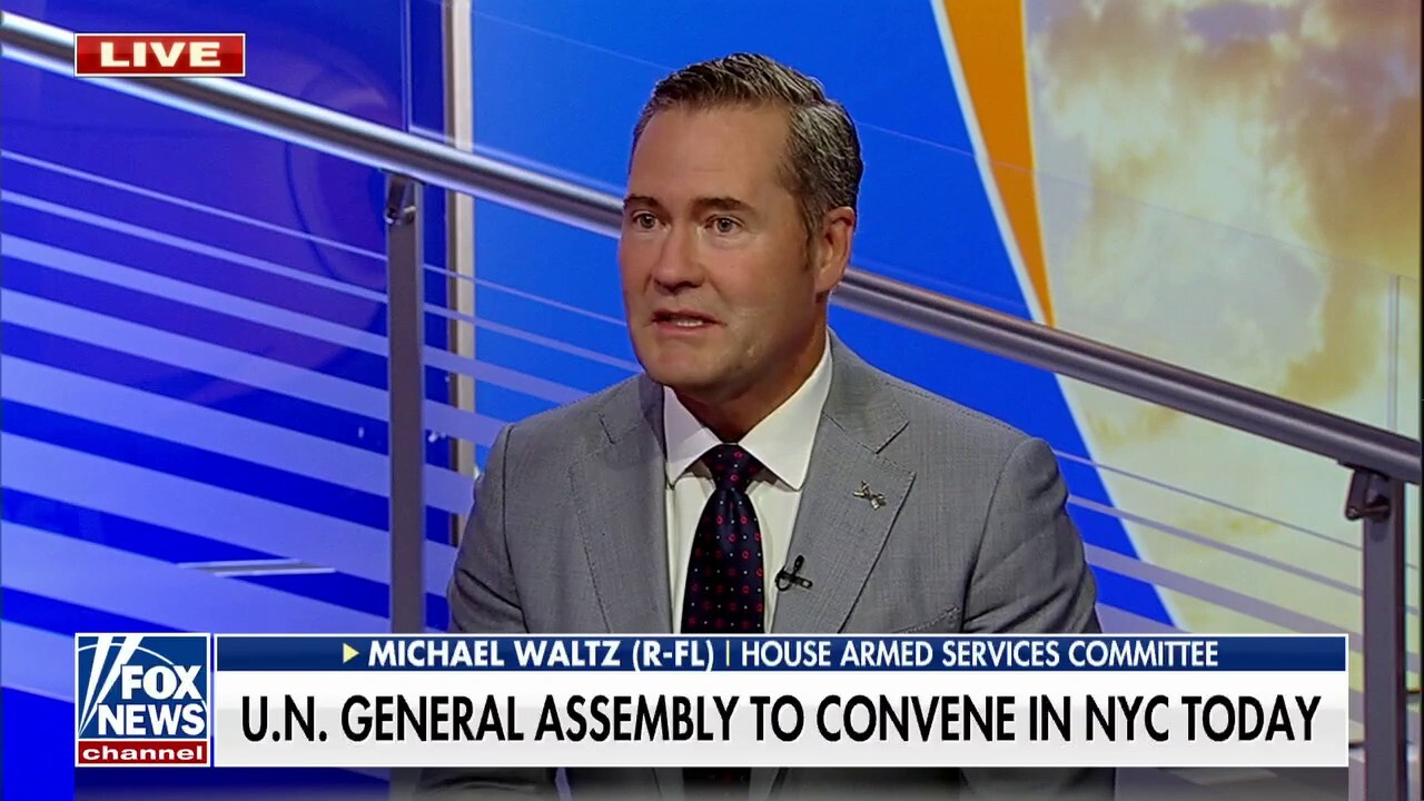 Rep. Waltz: 'Our next president could very well be a wartime president ...