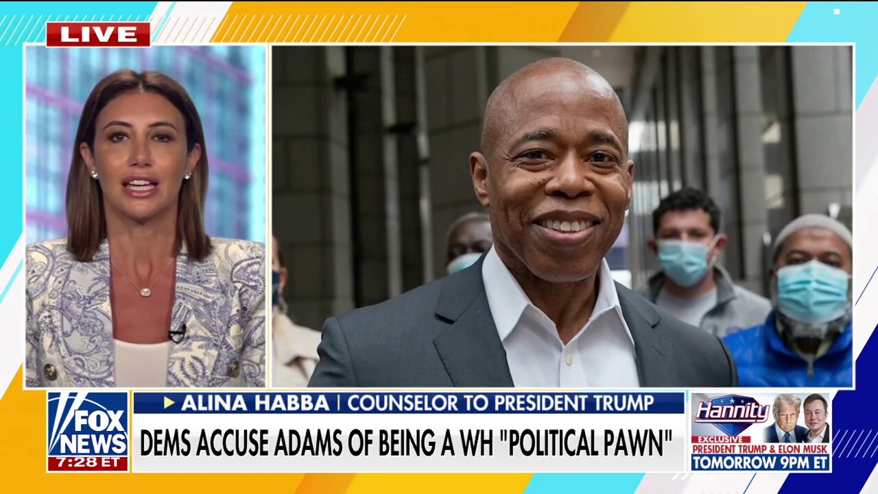Alina Habba sounds off on Democrats melting down over DOJ dropping Mayor Adams' charges | Fox ...