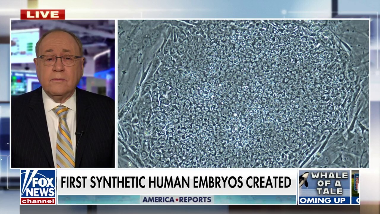 Creation of first synthetic human embryos could bring 'big advances ...