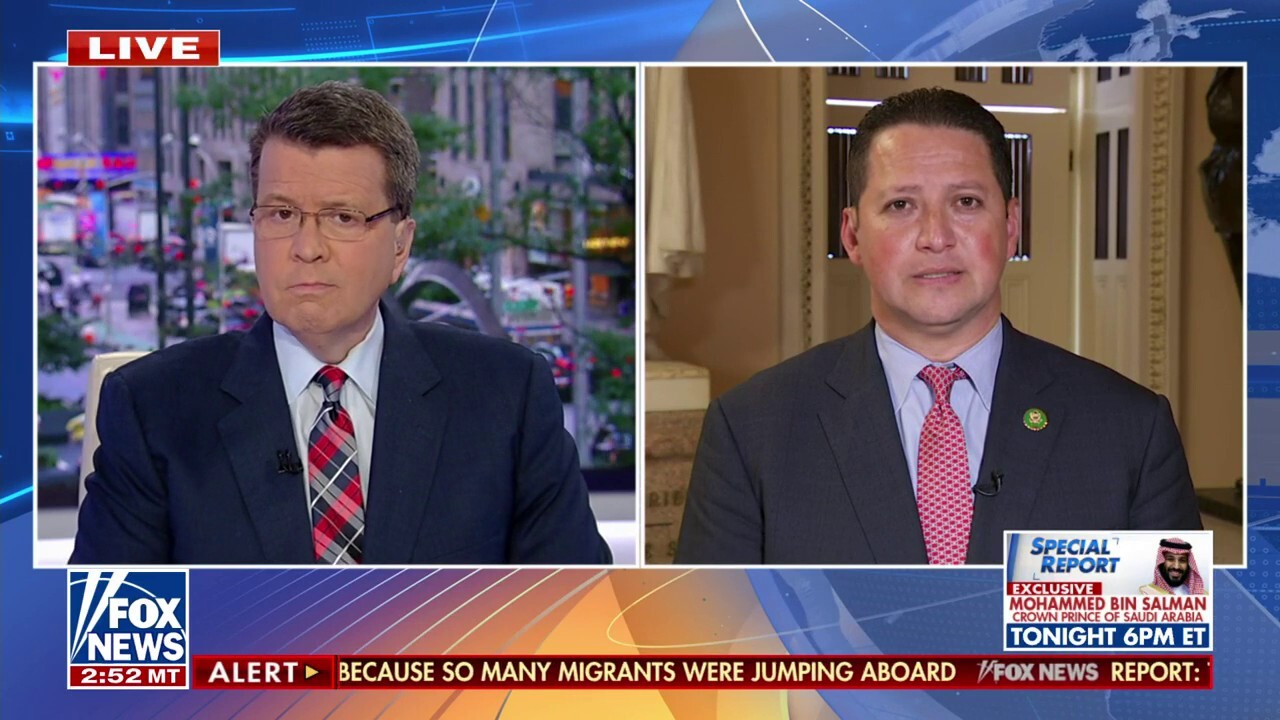 Cartels control the border: Rep. Tony Gonzales | Fox News Video