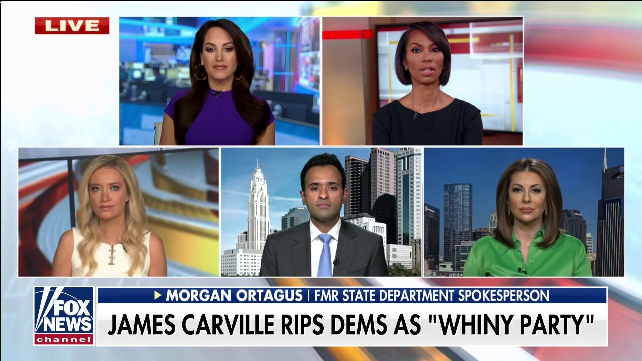 James Carville Blasts Democrats Quit Being A Whiny Party Fox News