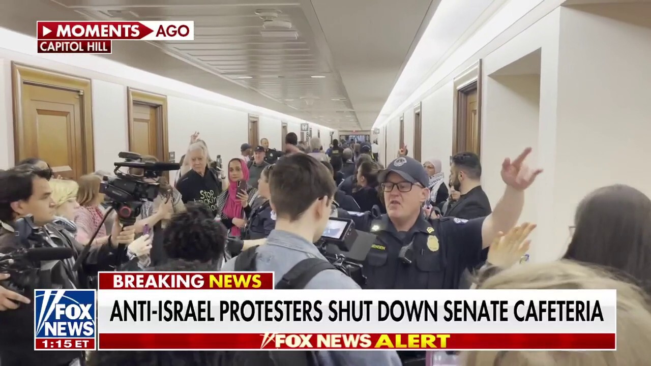 Anti-Israel agitators shut down Senate cafeteria | Fox News Video
