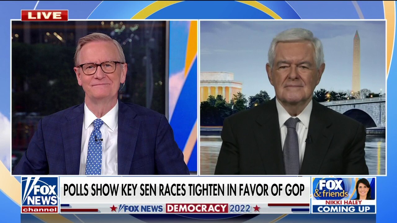Gingrich: Democrats' 'radicalism' is a huge issue ahead of midterms ...
