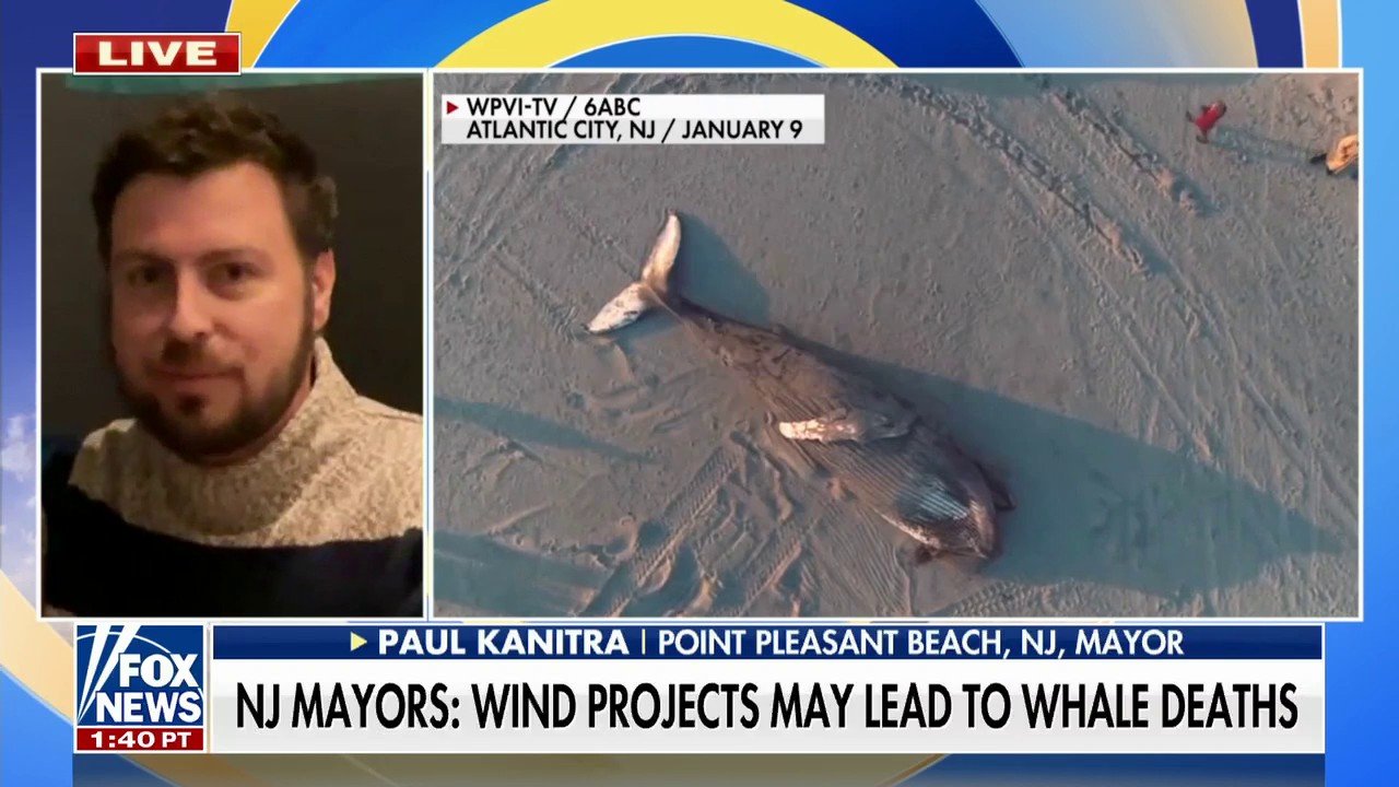 12 NJ Mayors Sign A Letter To Halt Offshore Wind Projects Fox News Video 12 NJ Mayors Sign A Letter To Halt Offshore Wind Projects Fox News Video