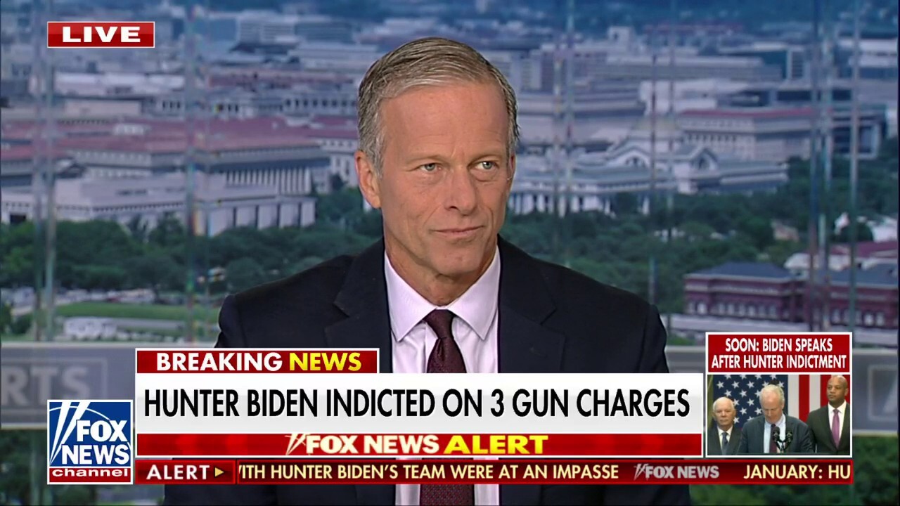 There is a ‘lot of smoke’ in Hunter Biden investigation: Sen. John Thune | Fox News Video