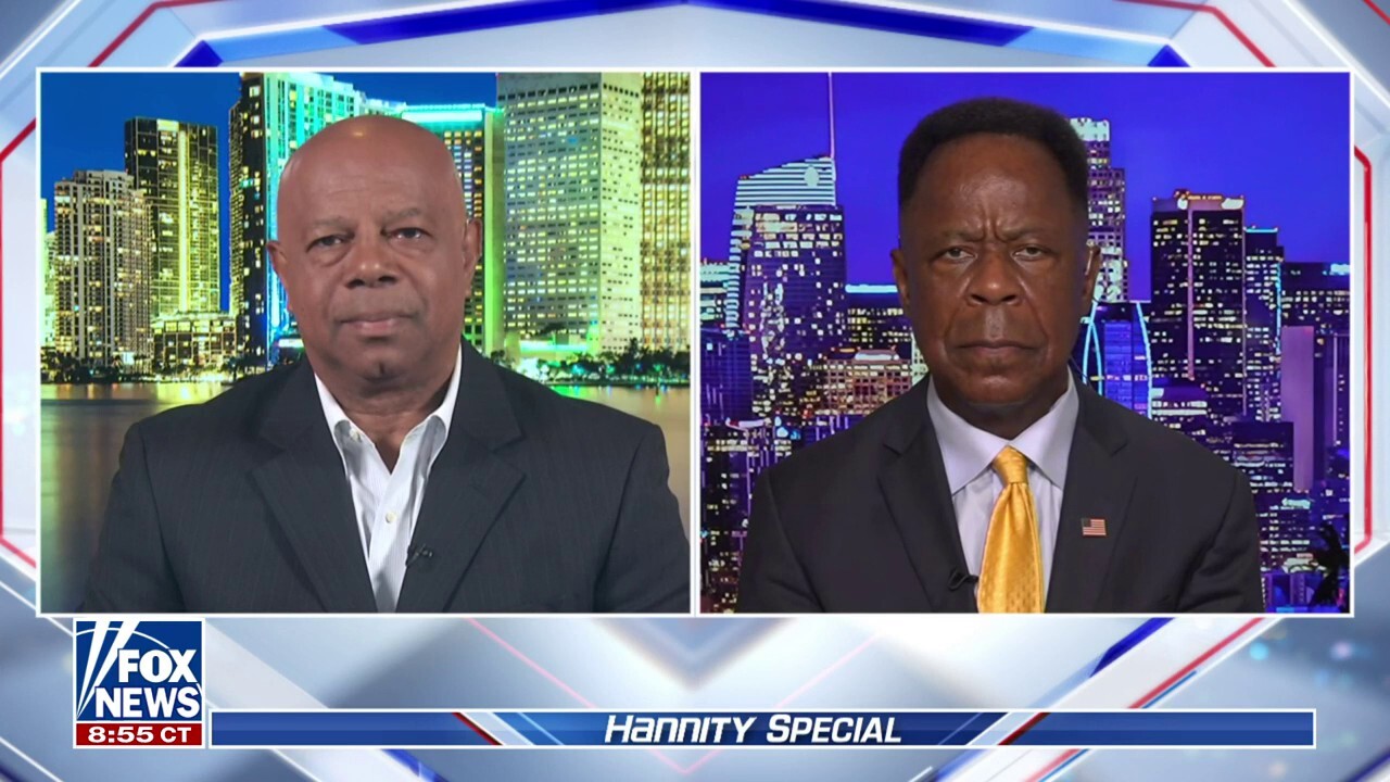 Leo Terrell calls on NYPD to 'run' drone monitoring 24/7 | Fox News Video