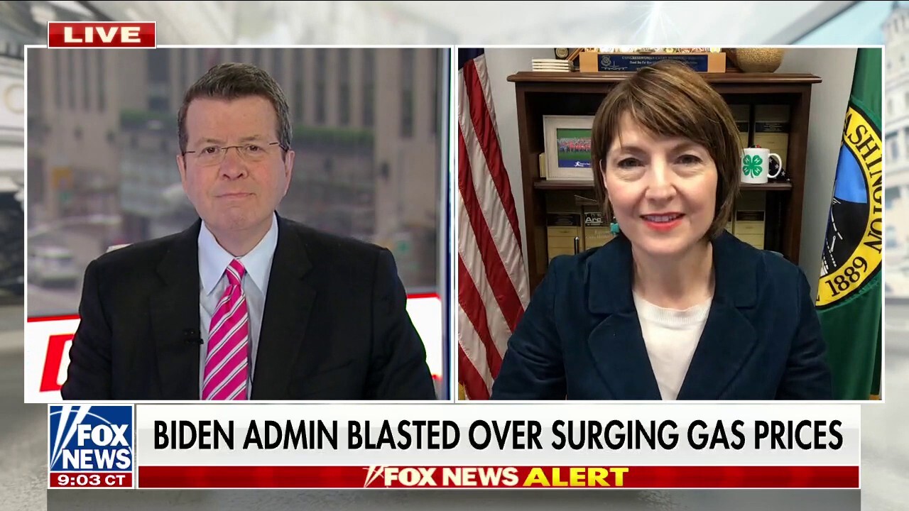 Biden must ‘unleash’ American energy: Rep. Cathy McMorris Rodgers | Fox News Video