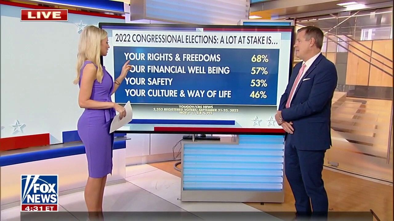 'Freedom' is a 'macro theme' of the midterm elections: Jim McLaughlin ...