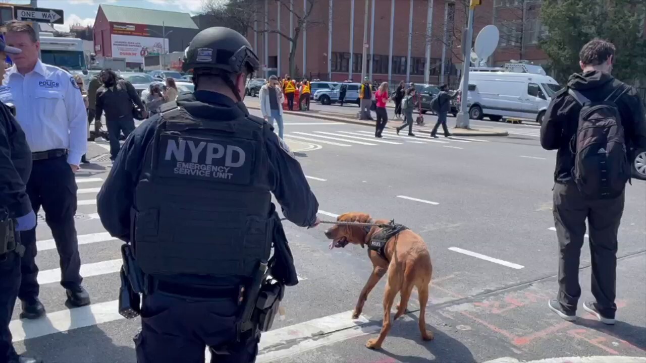 Brooklyn subway shooting: bomb squad officers and dogs search area ...