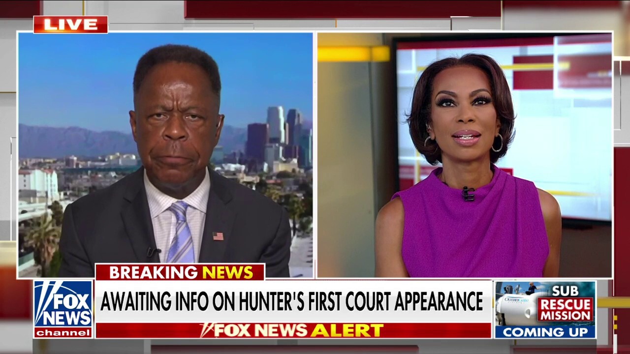 Hunter Biden is a ‘perfect example’ of the DOJ’s two-tiered system: Leo ...