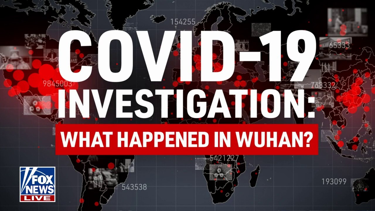 What happened to the COVID-19 origins investigation? | Fox News Video