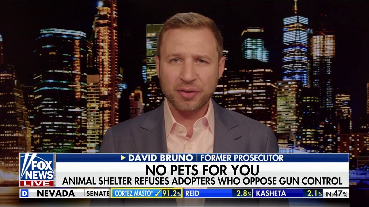 Shelter owner asks potential adopters about gun control | Fox News Video