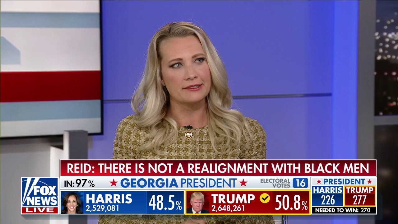 Democrats really need to 'reassess' after the 2024 election loss, Elisha Krauss says | Fox News ...