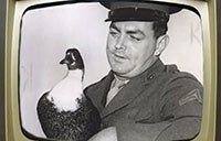 TR-3B Anti-Gravity Spacecrafts | Military.com