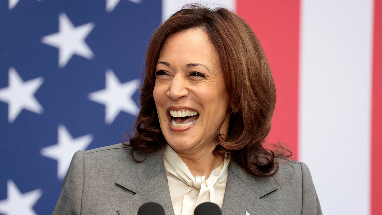 WATCH LIVE: VP Harris addresses supporters at rally in key battleground ...