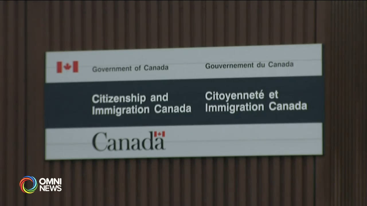 PTE Core test now accepted for immigration pathways - OMNI