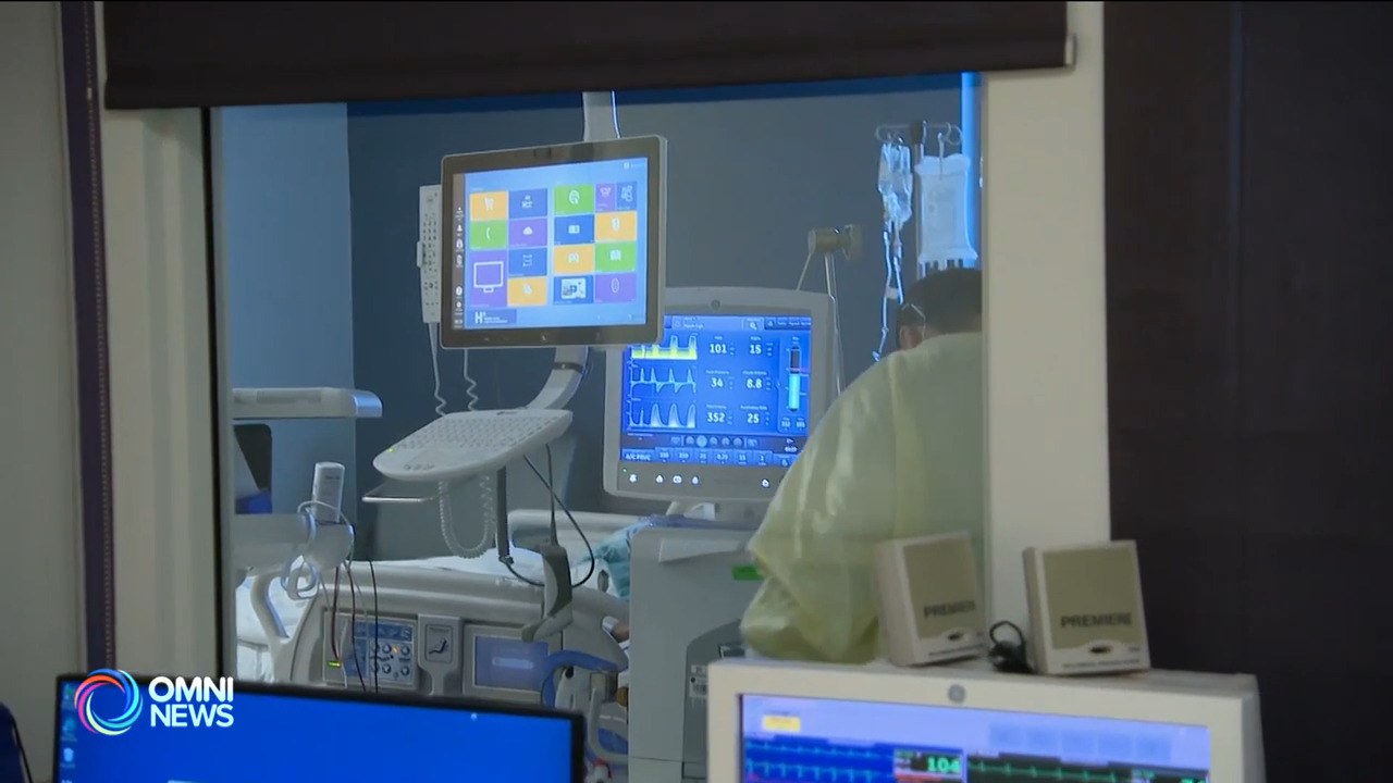 新冠亞變種病毒KP.2成主流病株 - OMNI